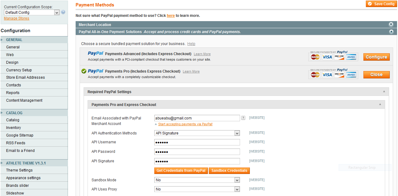 Error in configuring PayPal Payments Pro (Includes... - Magento Forums