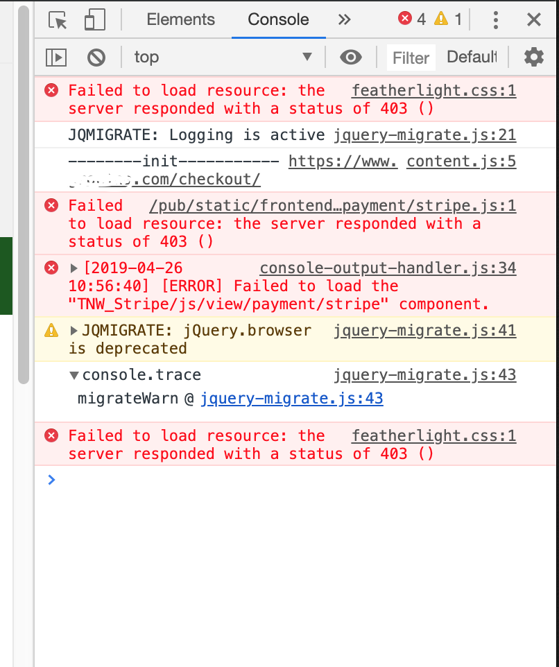 Payment method appears once on the checkout page. - Magento Forums