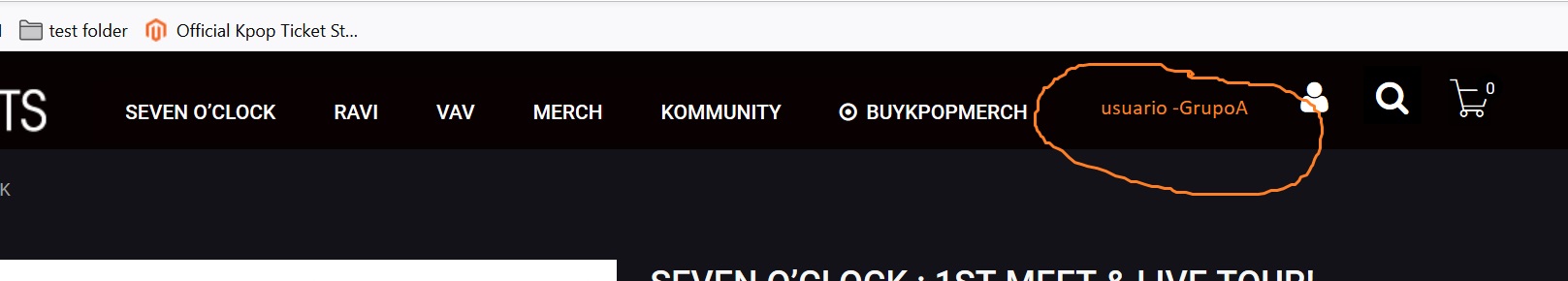 Mostrar el usuario y su grupo en el header - Magento Forums