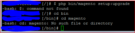 SSH "Could not open input file: bin/magento" - Magento Forums
