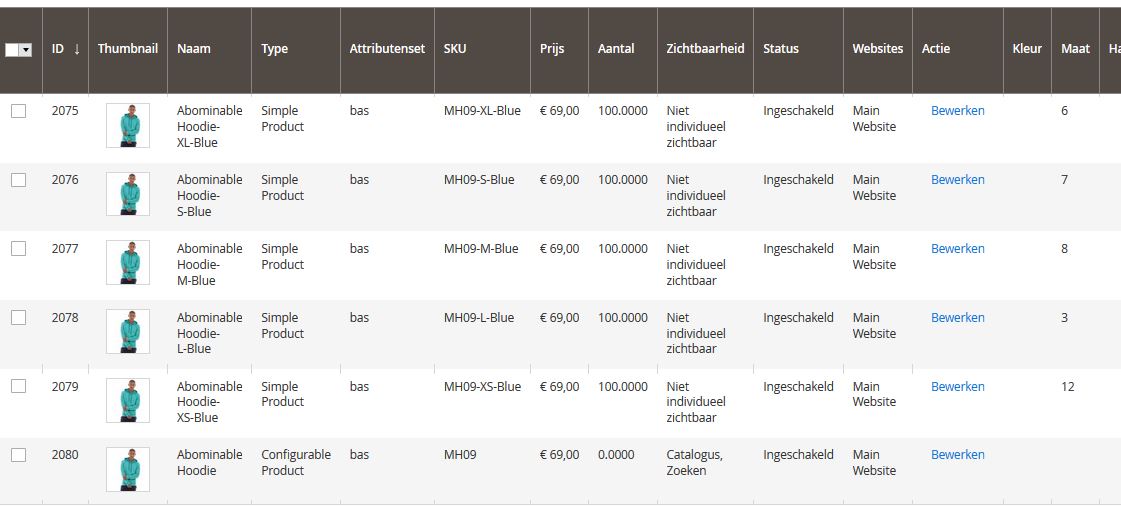 Solved: Luma Demo without color. - Magento Forums